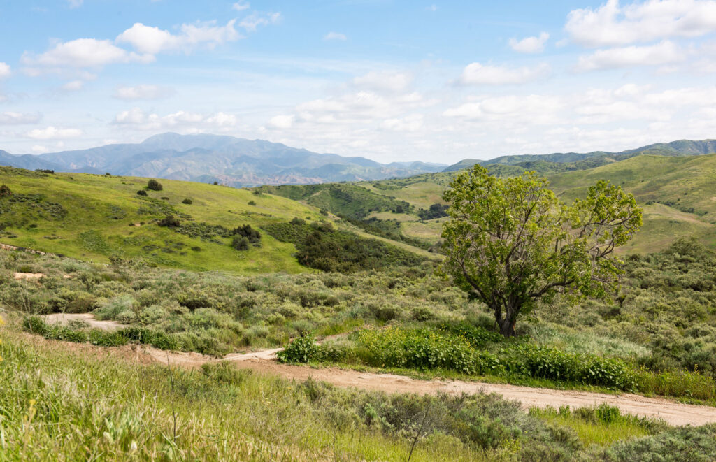 Orange Heights Master Plan